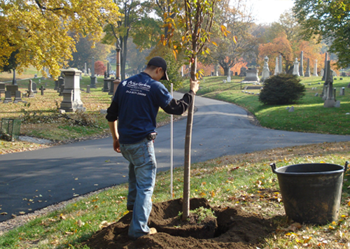 Artsian Gardens - NYC Million Tree Program